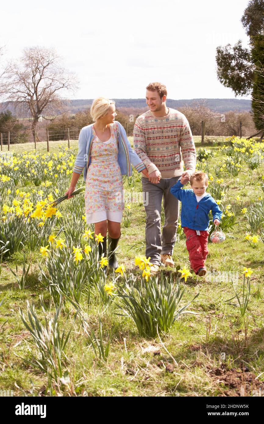 family, easter egg hunt, easter walk, families, easter egg hunts Stock ...