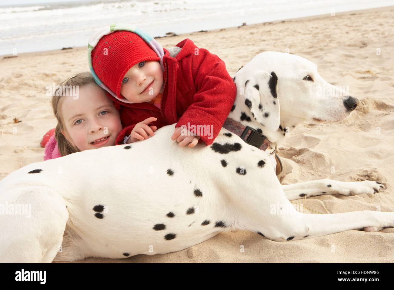 Child dogs hi-res stock photography and images - Alamy