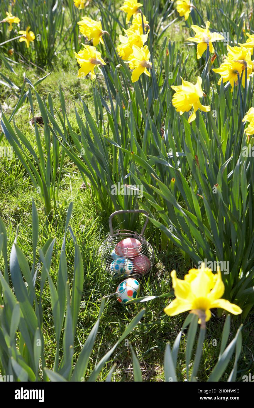 easter, easter egg hunt, easter eggs hidden, easters, easter egg hunts ...