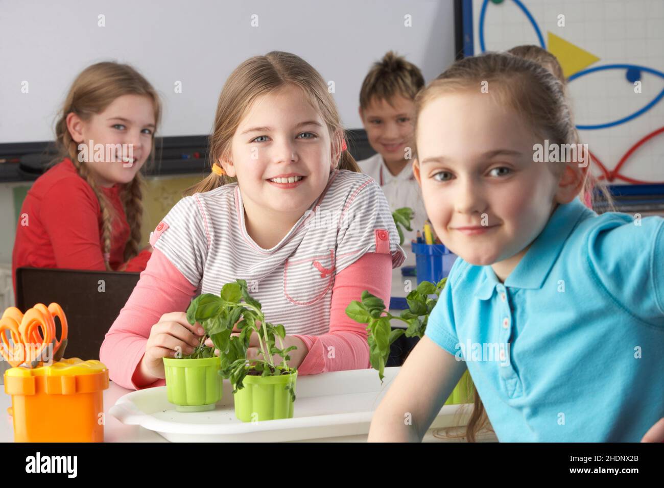child, education, pupils, elementary school, biology lesson, children ...