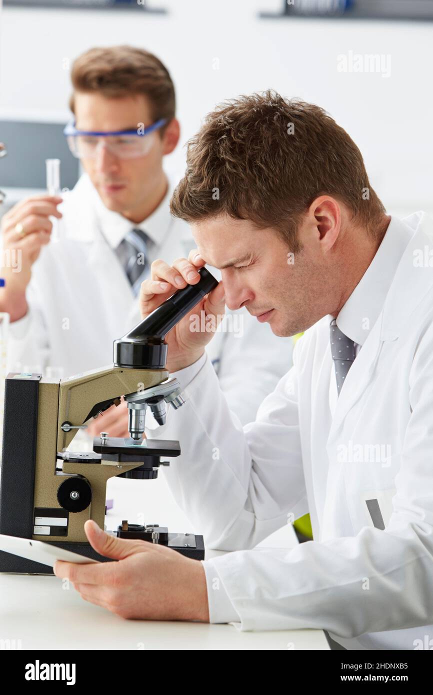 microscope, scientist, laboratory assistant, microscopes, scientists, laboratory assistants ...