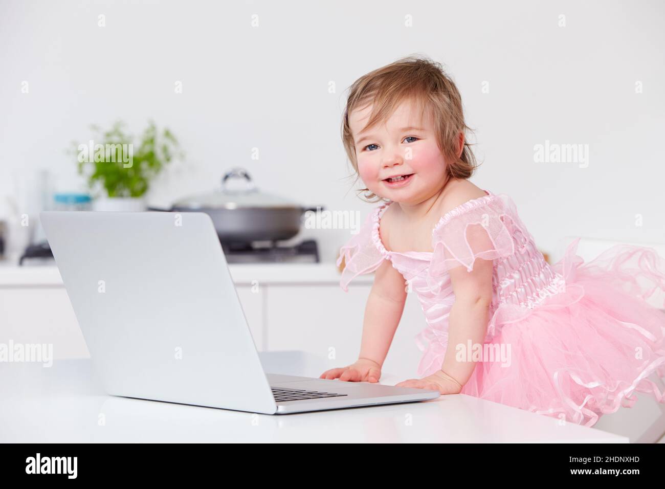 girl, playing, laptop, girls, play, computer, computers, laptops Stock ...