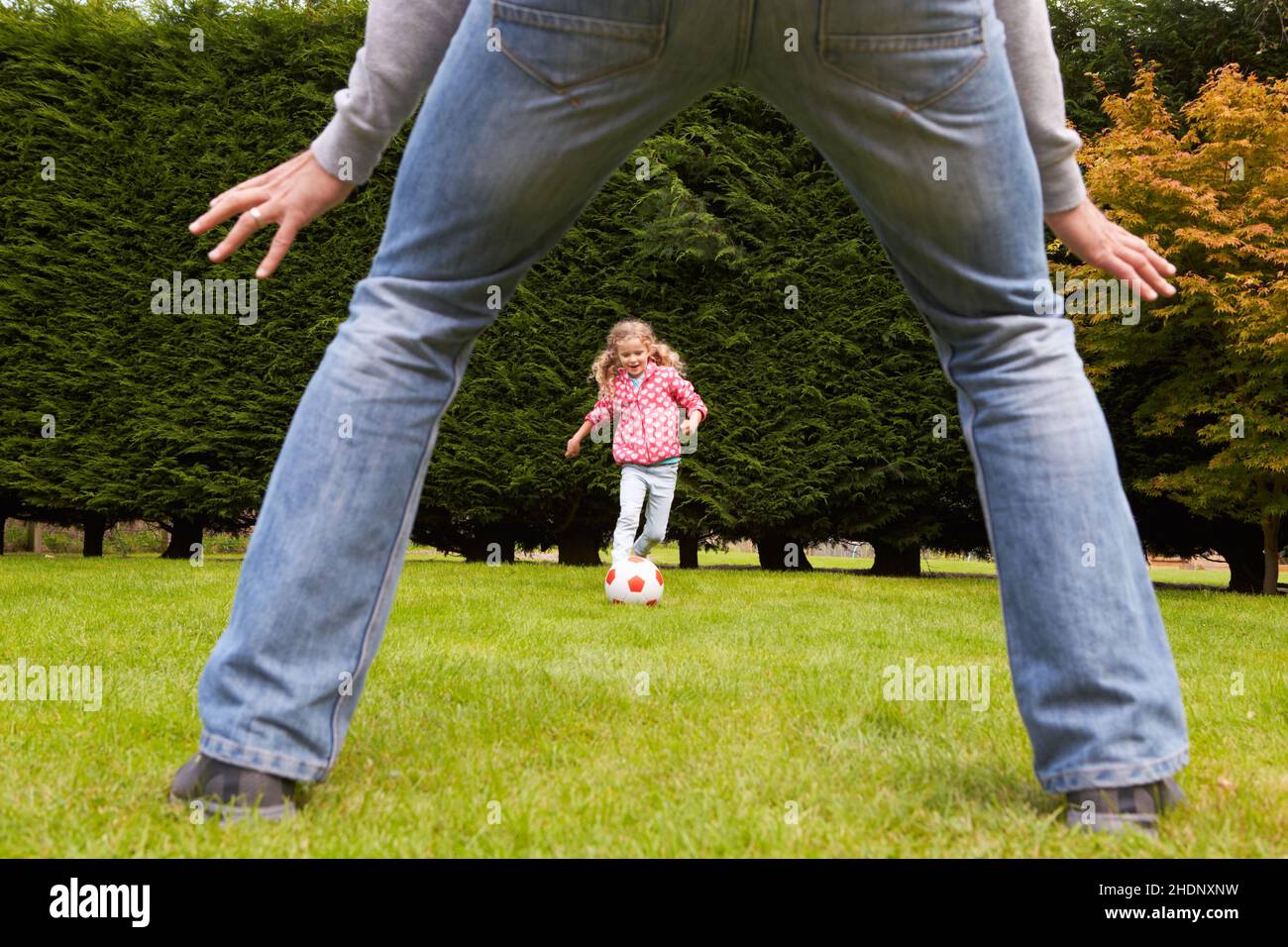 father, daughter, ball game, dad, fathers, daughters, ball games Stock ...