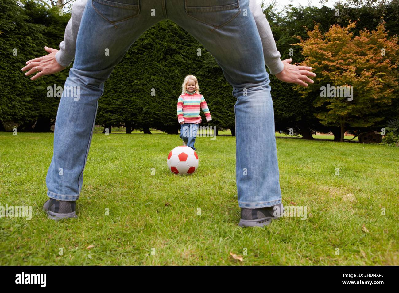 father, daughter, ball game, dad, fathers, daughters, ball games Stock ...