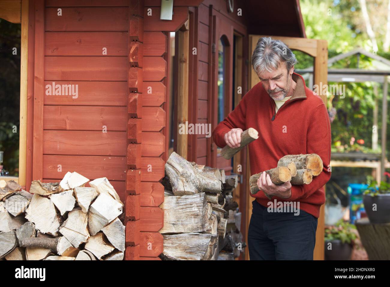 Senior man holding firewood hi-res stock photography and images - Alamy