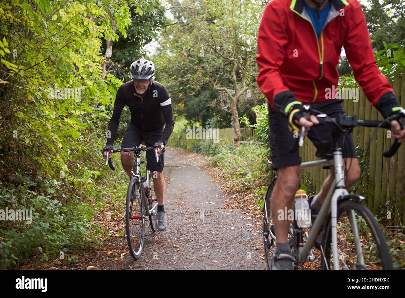 active seniors, cyclists, cycling, elderly, fit, old, senior, seniors ...