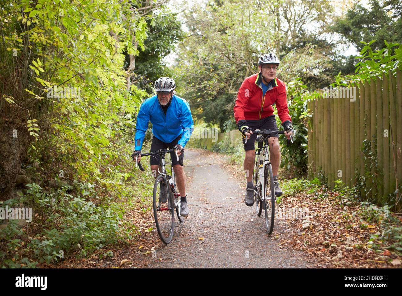 active seniors, cyclists, cycling, elderly, fit, old, senior, seniors ...