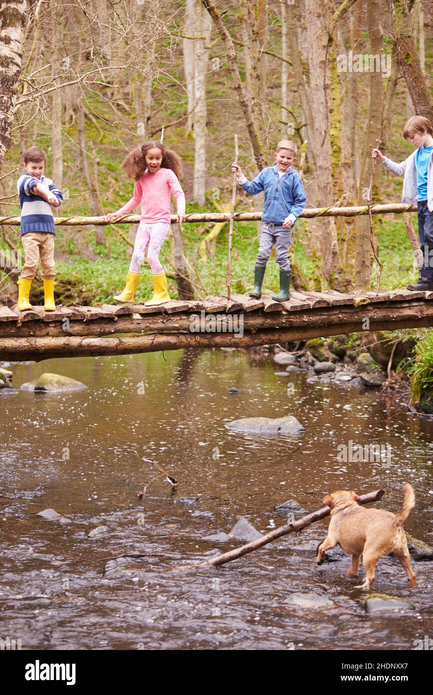 dog, retrieving, friends, walk, dogs, friend, walks Stock Photo - Alamy
