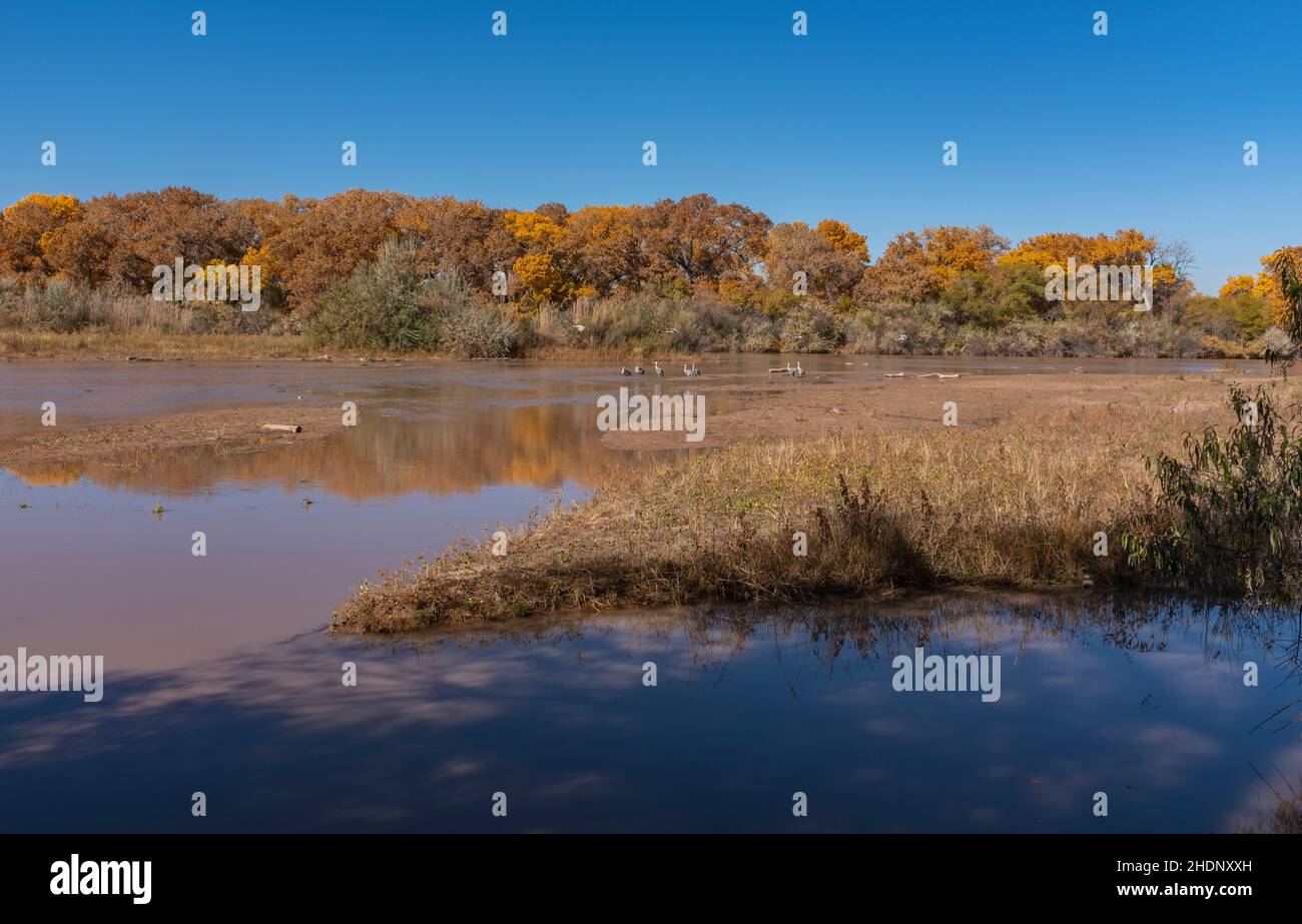 Albuquerque basin hi-res stock photography and images - Alamy