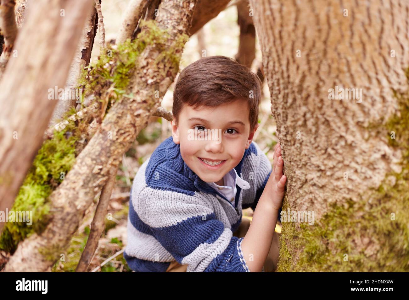 boy, forest, hide and seek, boys, forests, wood, woodland, woods, hide ...