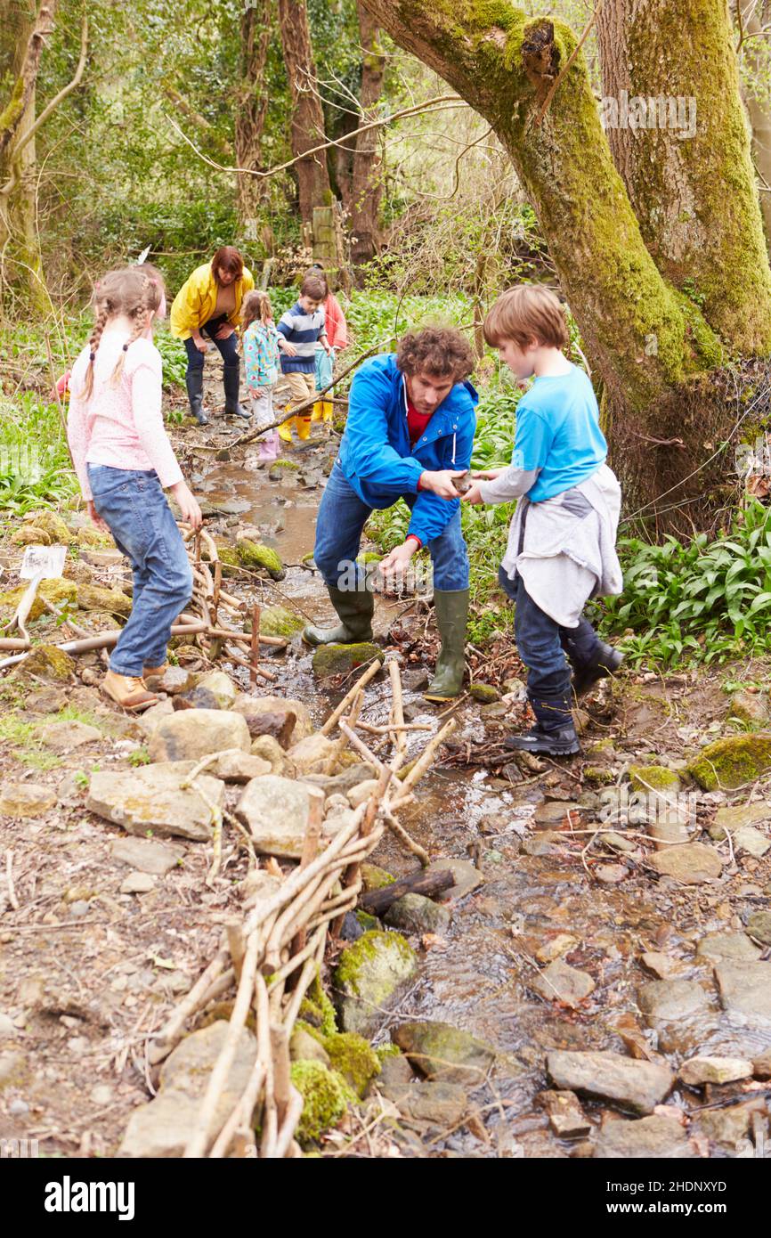 children group, fixation, nature trail, crowd, groups, fixations ...
