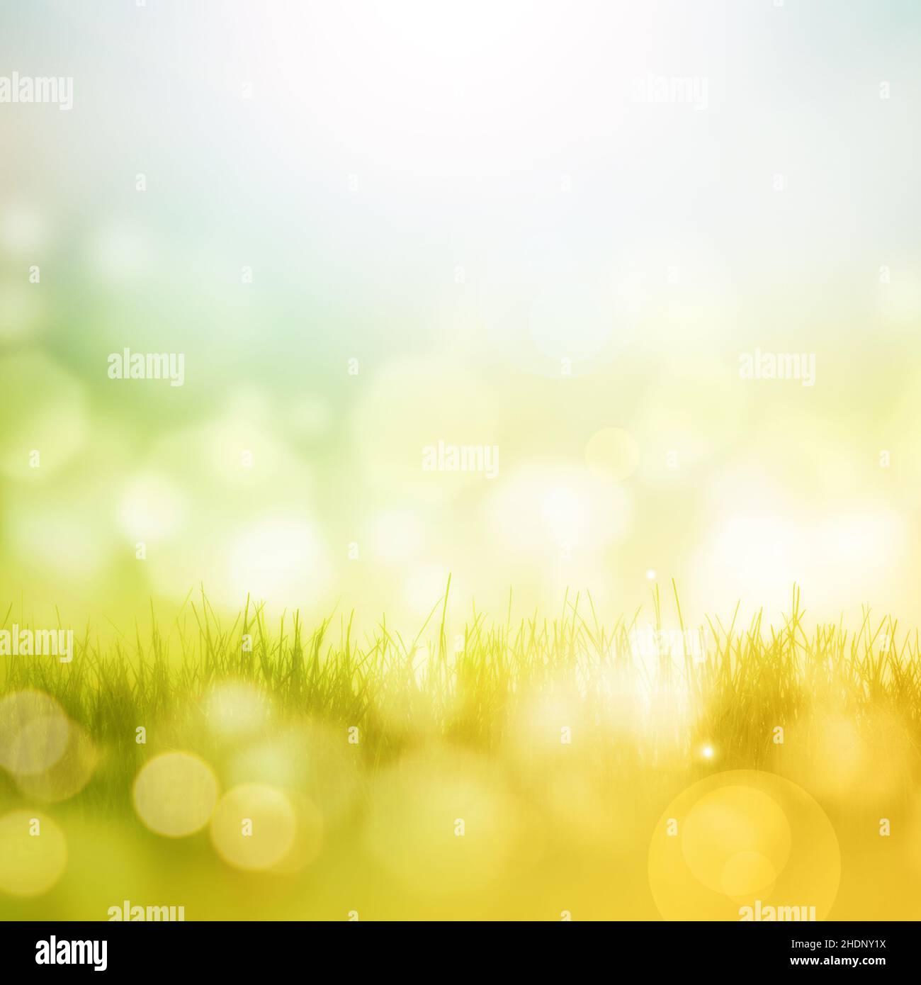 backgrounds, spring, background Stock Photo - Alamy
