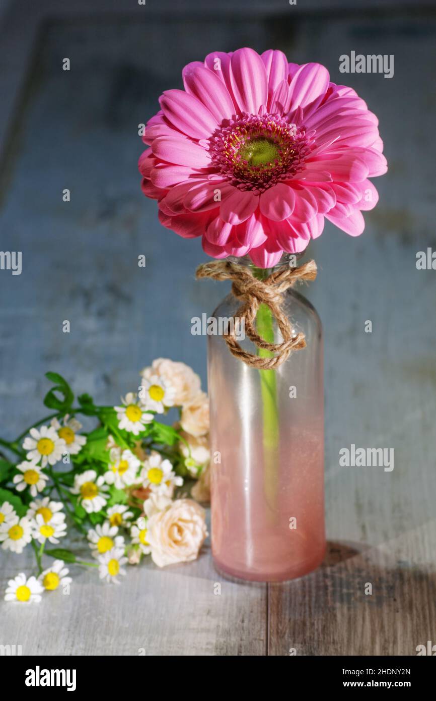 vase, gerbera, vases Stock Photo - Alamy