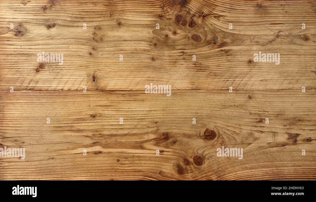 texture, wood, structure, textures, woodland, woodlands, woods ...