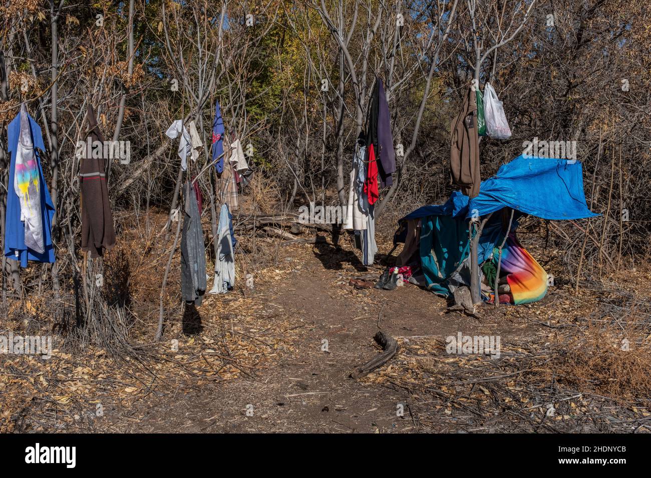homeless shelter along the Rio Grande bosque through Albuquerque, New ...