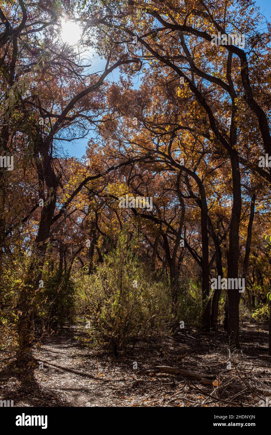 Middle rio grande valley hi-res stock photography and images - Alamy