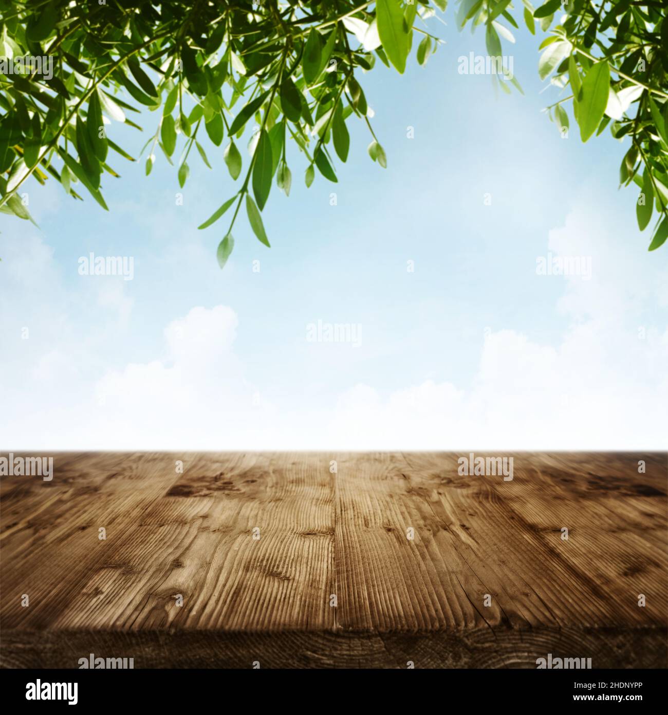 backgrounds, wooden table, olive tree, background, wooden tables, olive ...