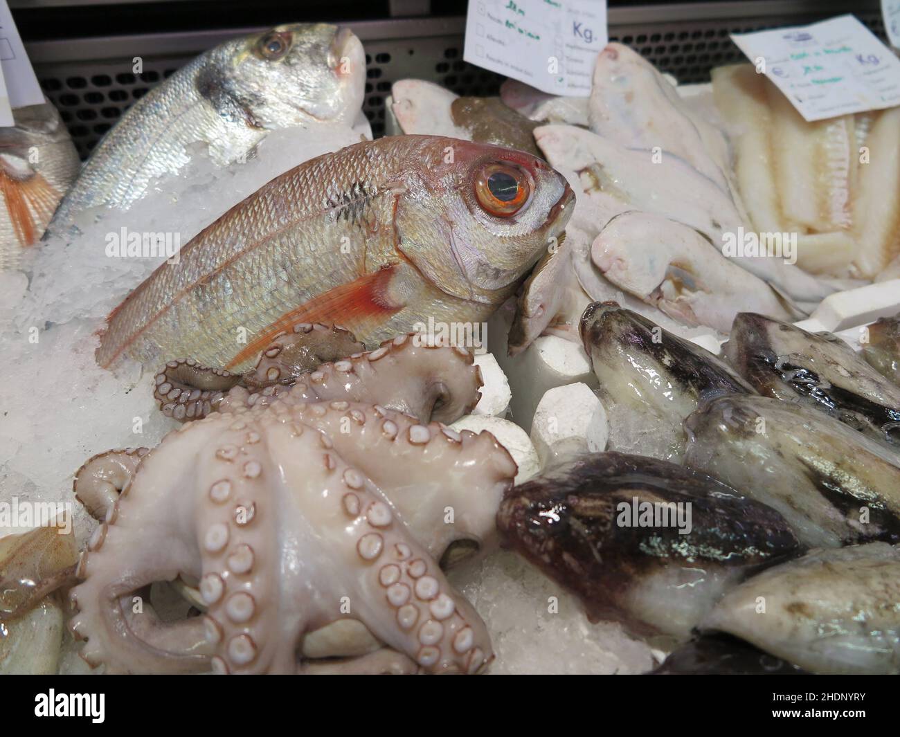 seafood, fish market, fresh fish, seafoods, fish markets, fresh fishs ...