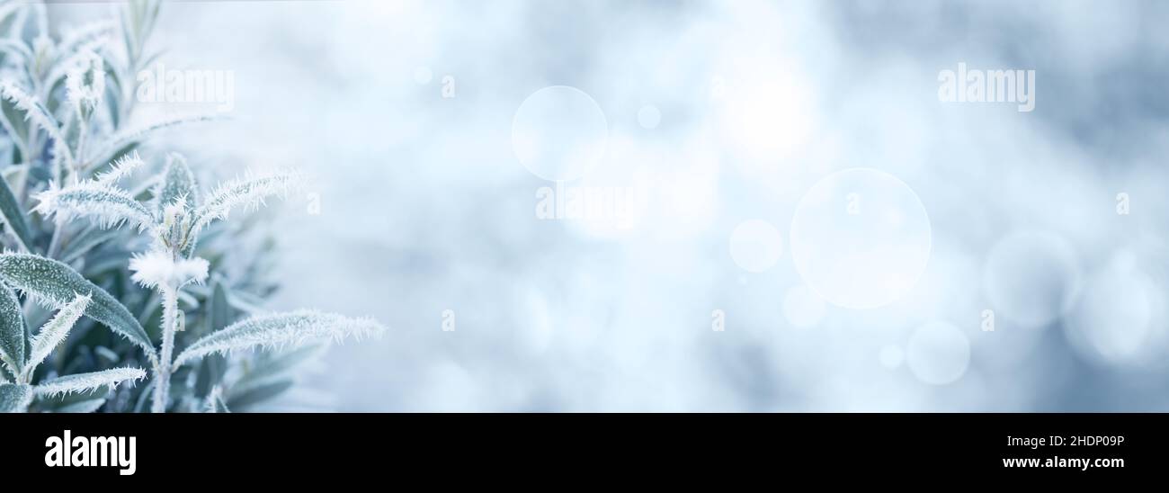 Icies hi-res stock photography and images - Alamy