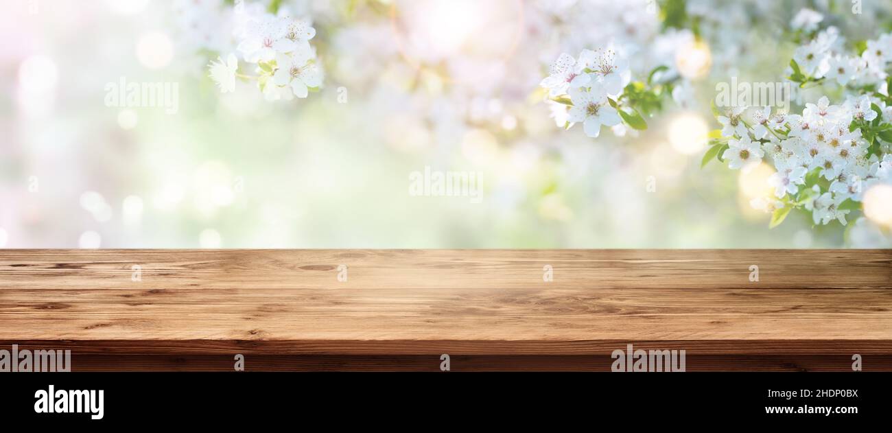spring, wooden table, cherry blossoms, wooden tables, cherry blossom ...