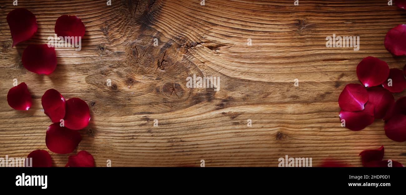 wood, rose leaves, woodland, woodlands, woods Stock Photo - Alamy