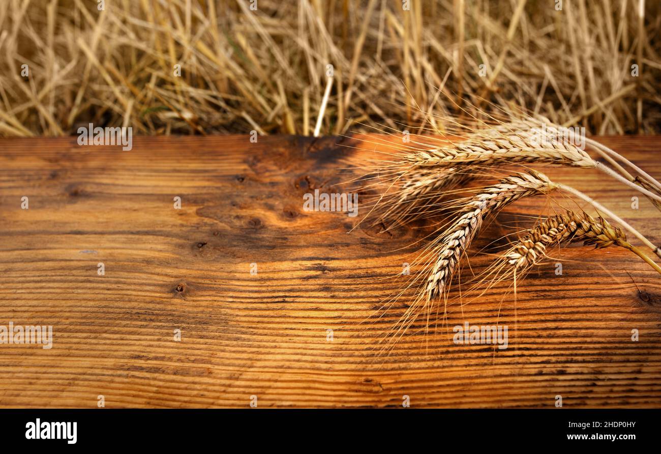 wooden table, spikes, wooden tables Stock Photo - Alamy