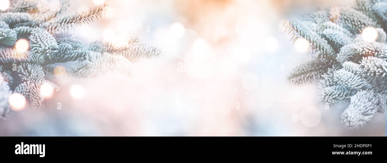 Natur magical hi-res stock photography and images - Alamy