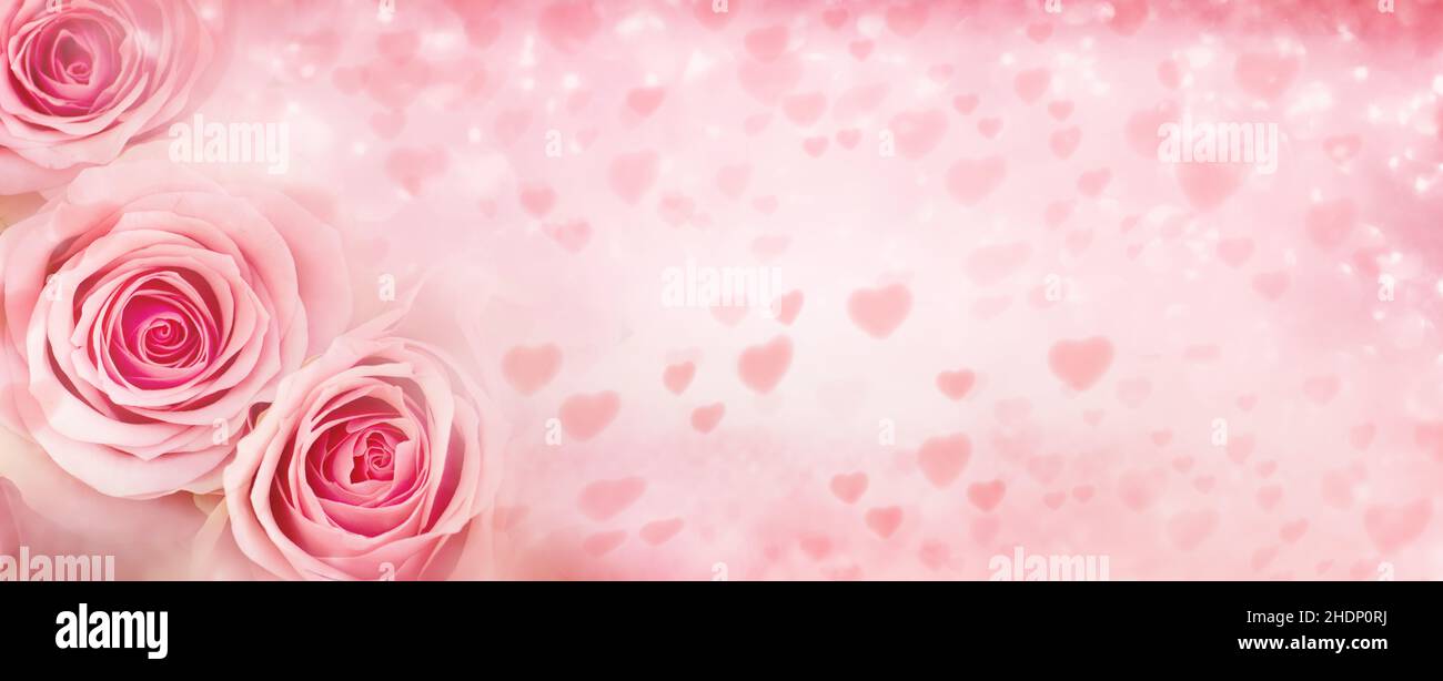 rose, pink, heart, roses, pinks, hearts Stock Photo - Alamy