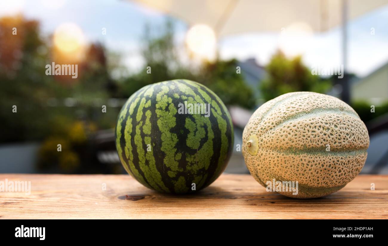 melon, watermelon, muskmelon, melons, watermelons, muskmelons Stock ...