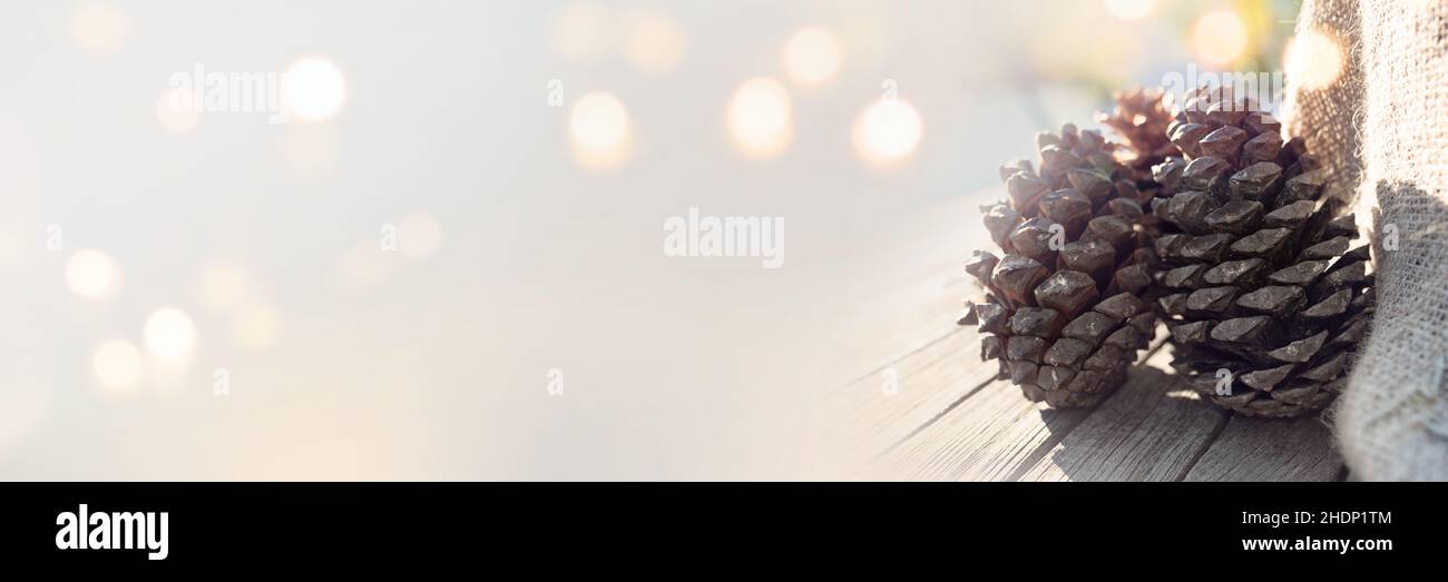 backgrounds, pine cone, background, pine cones Stock Photo - Alamy