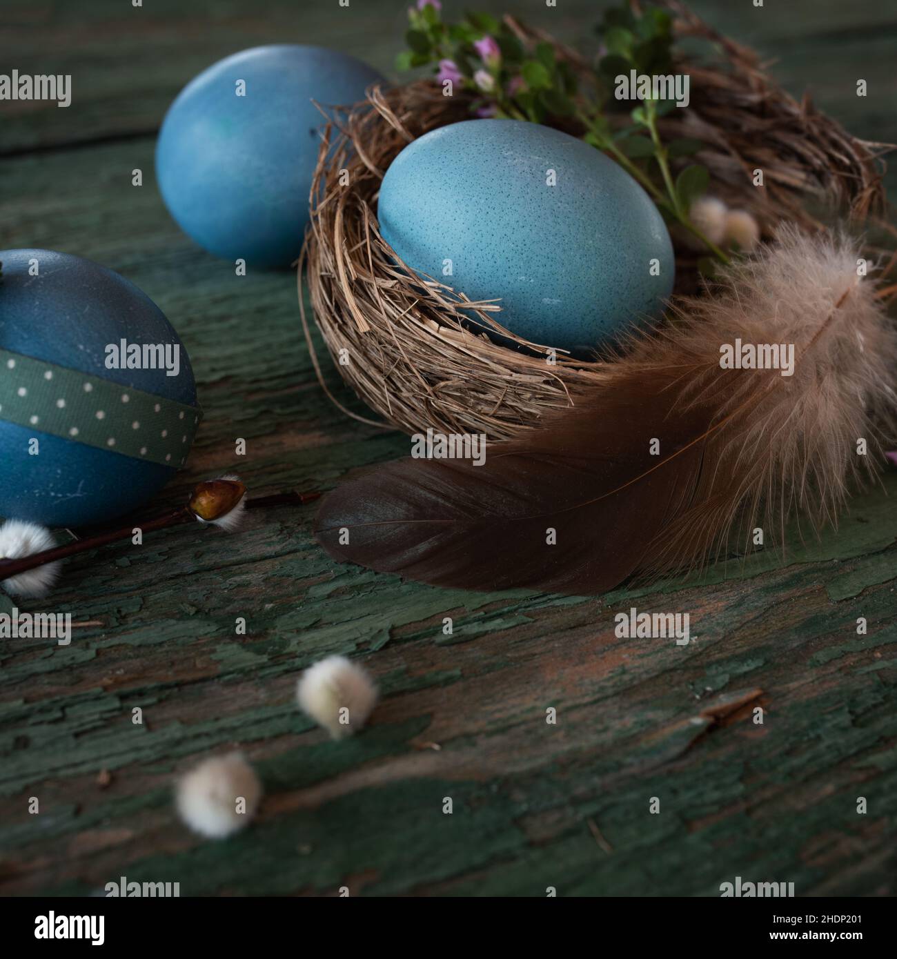 easter egg, bird's nest, bird feather, easter eggs, bird's nests, bird ...