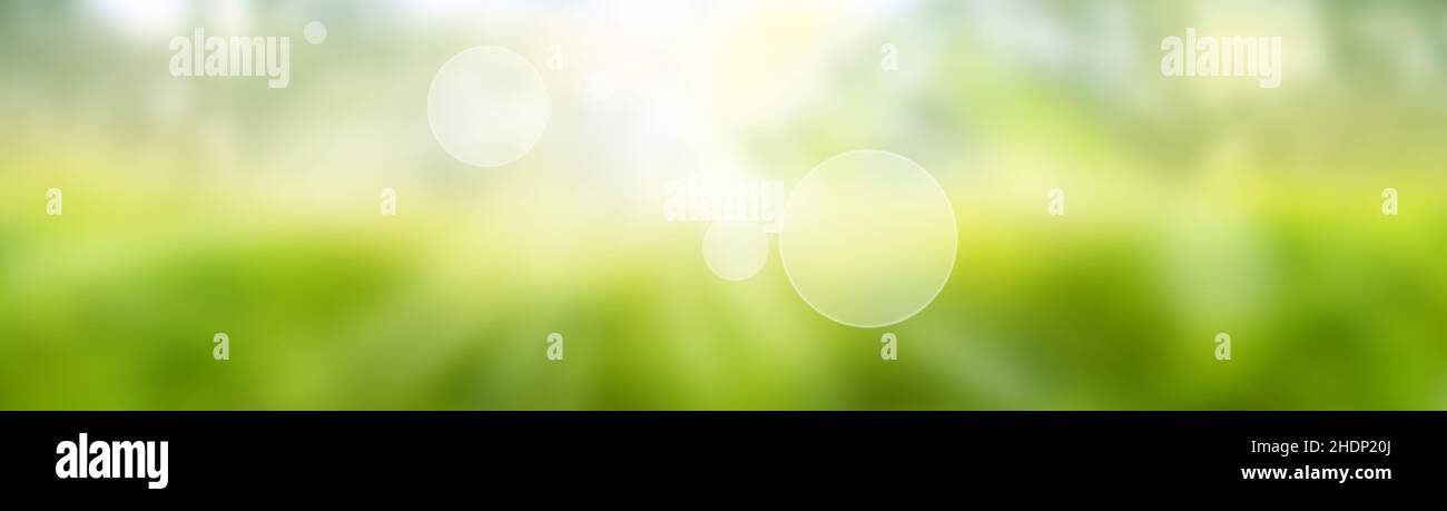 sunbeams, spring, bokeh, sun beams, sun ray, sun rays, sunbeam, sunray ...