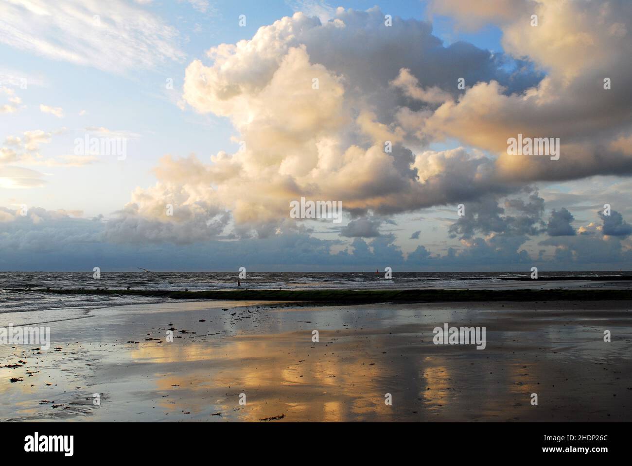 north sea, watt, norderney, north seas, watts, norderneys Stock Photo ...