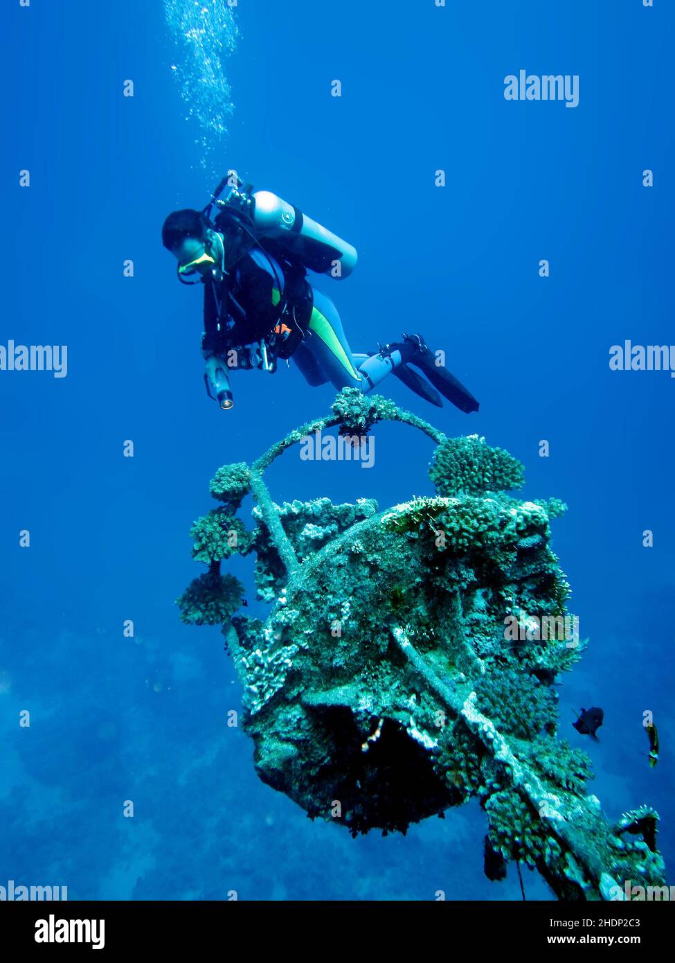 shipwreck, diver, diving, shipwrecks, dive, divers, dives, scuba, scuba ...