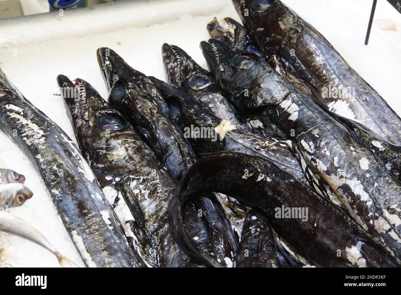 prepared fish, Black scabbardfish, prepared fishs Stock Photo - Alamy