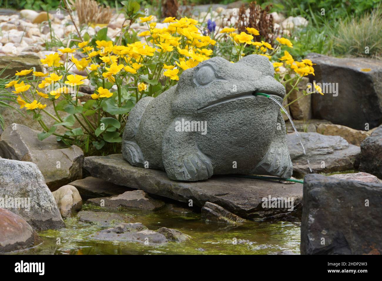 gardening, garden pond, fountain figurine, plant care, tending of ...