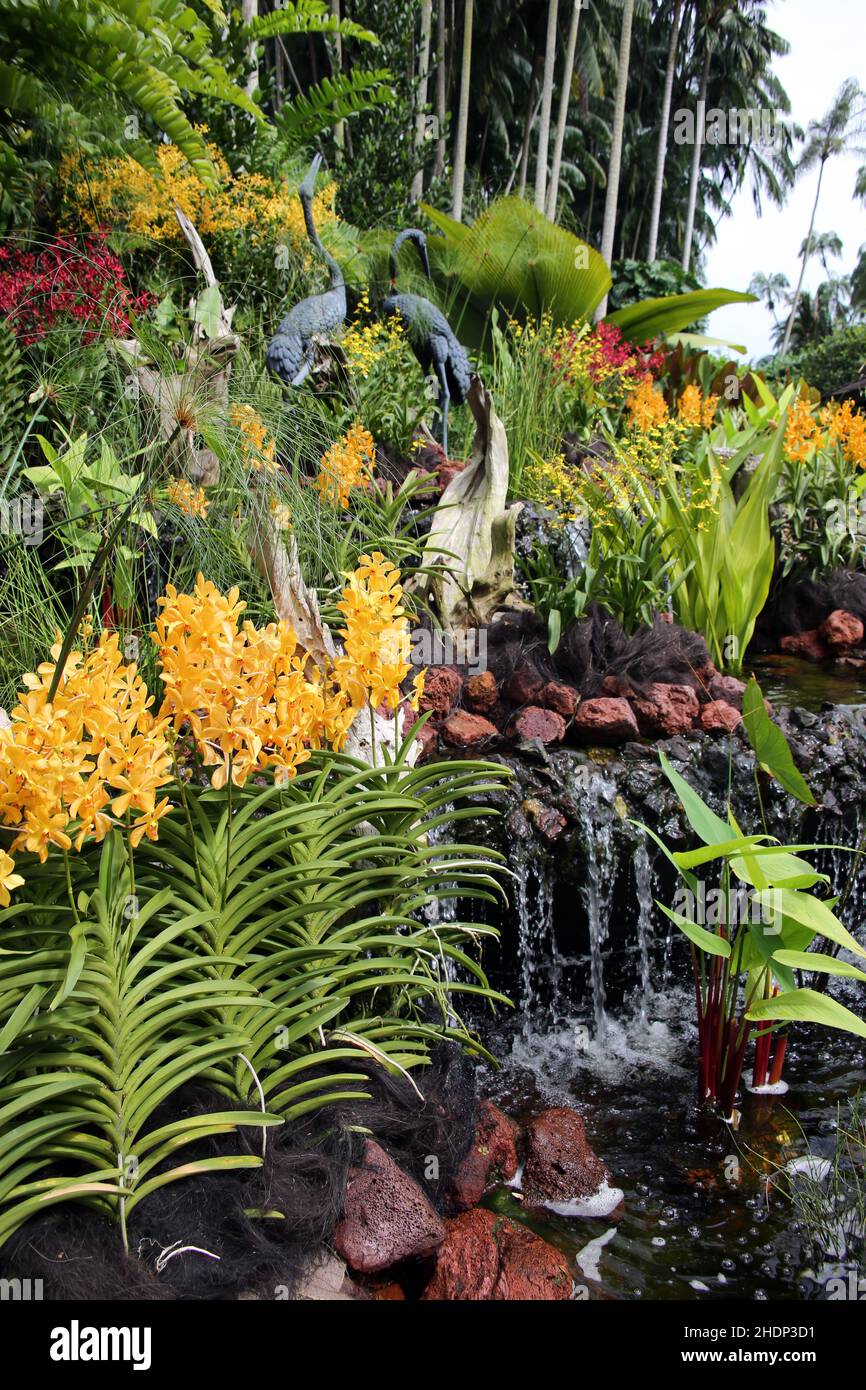 singapore, botanical garden, singapores, botanical gardens Stock Photo ...