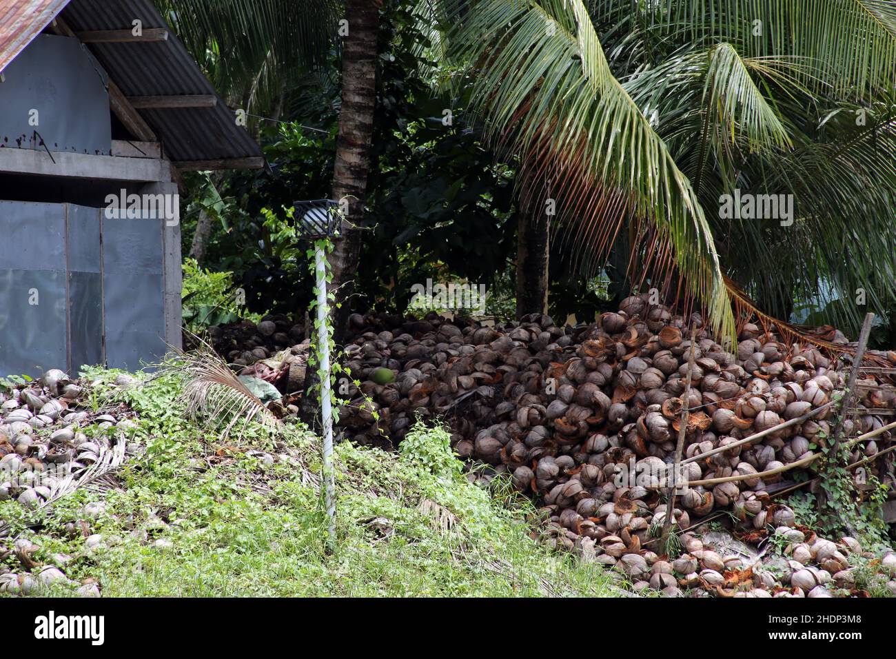 coconut shell, coconut shells Stock Photo - Alamy