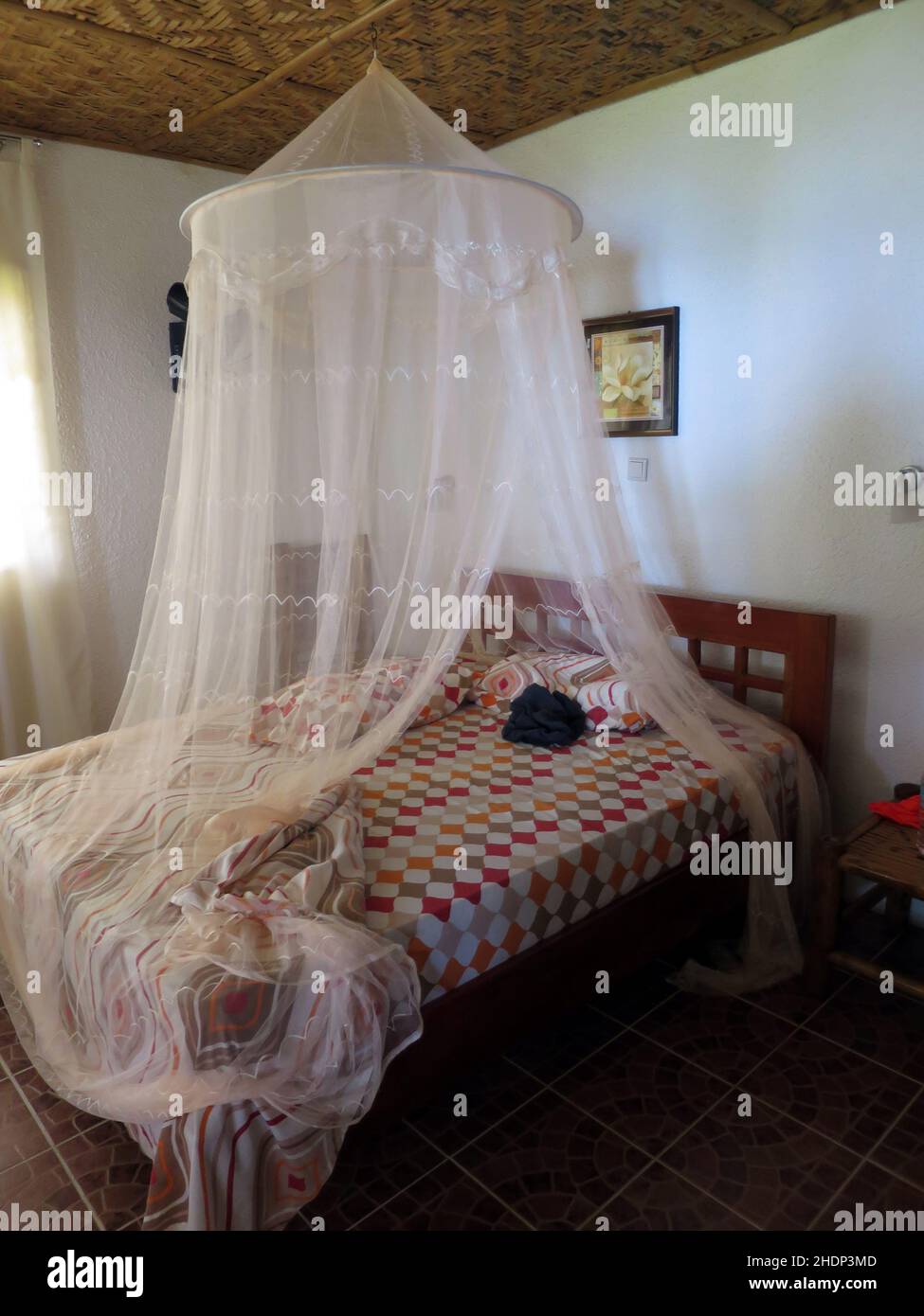 insect, mosquito net, mosquito protection, insects Stock Photo - Alamy