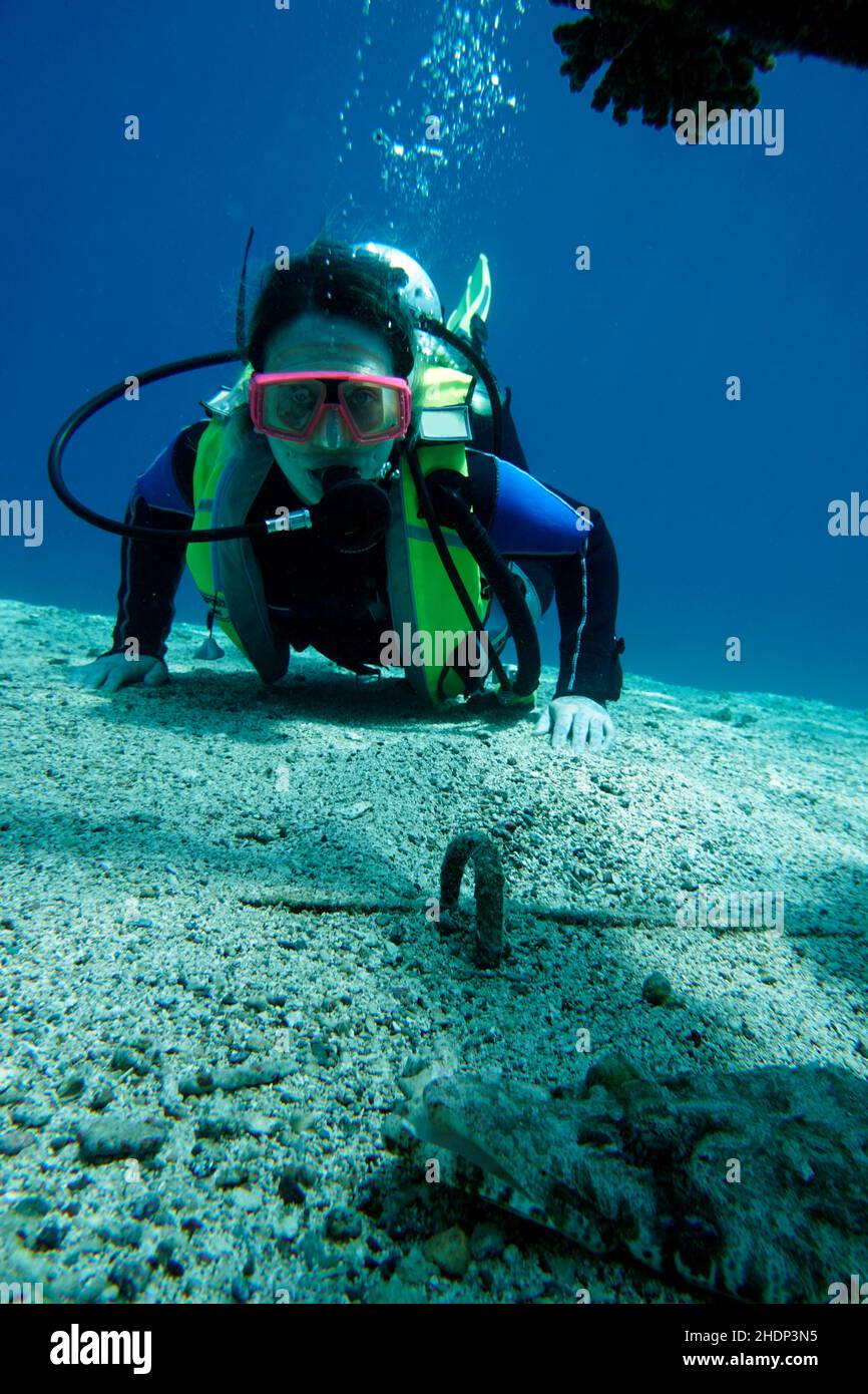 diver, diving, red sea, dive, divers, dives, scuba, scuba diving, red ...