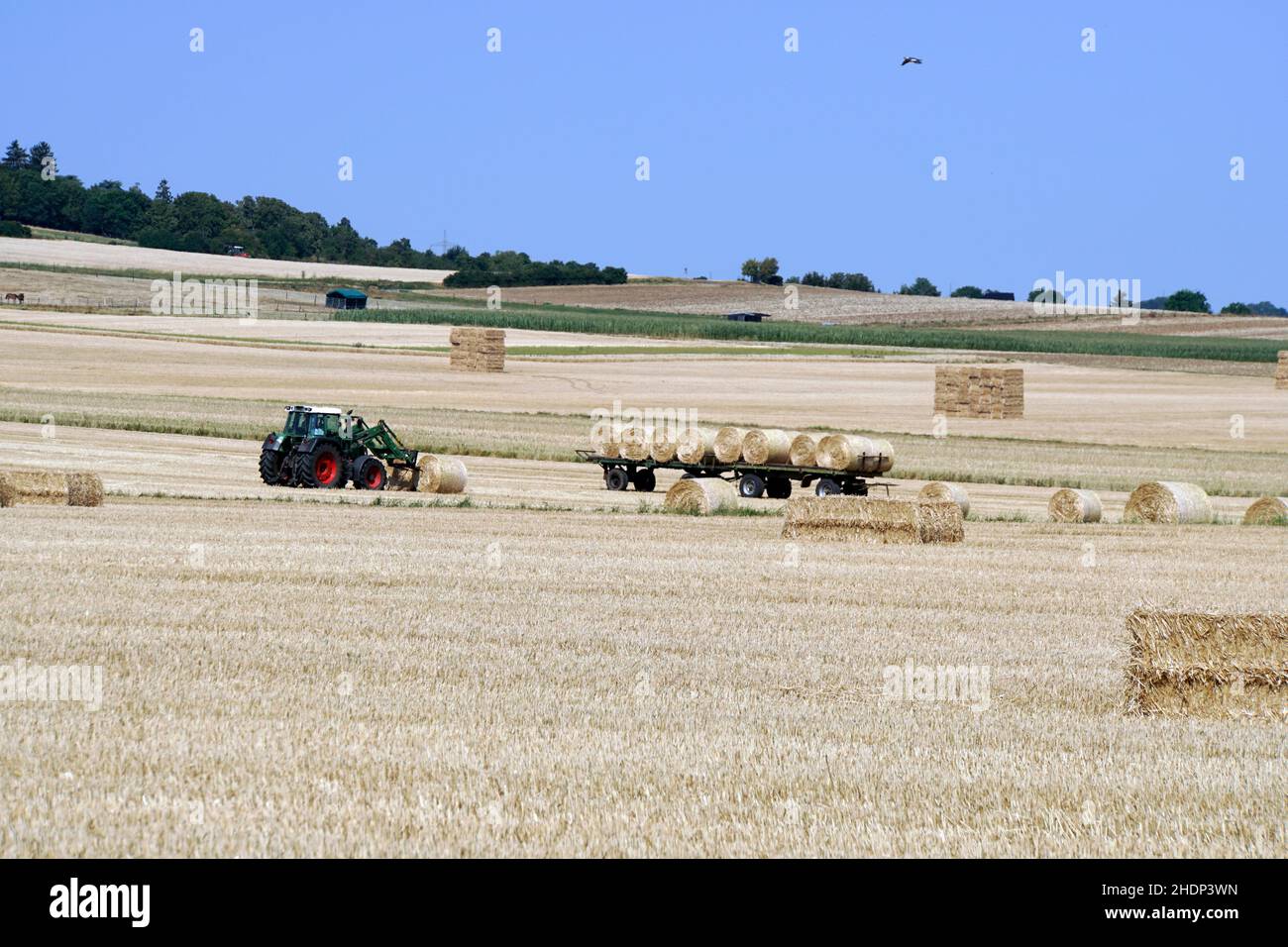 straw bales, tractor, corn field, straw harvesting, straw bale ...