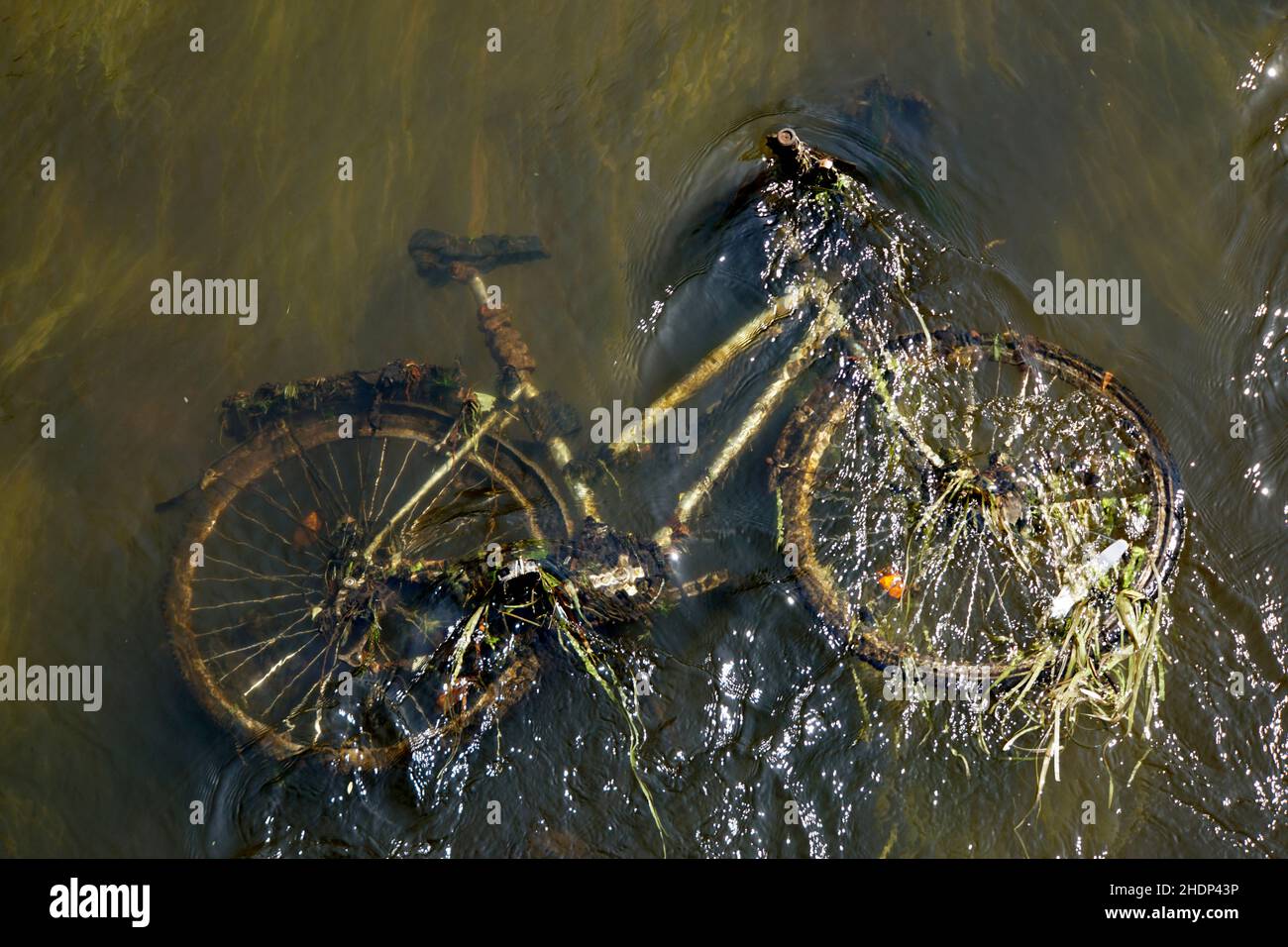 bicycle, water pollution, bicycles, bike, water pollutions Stock Photo ...