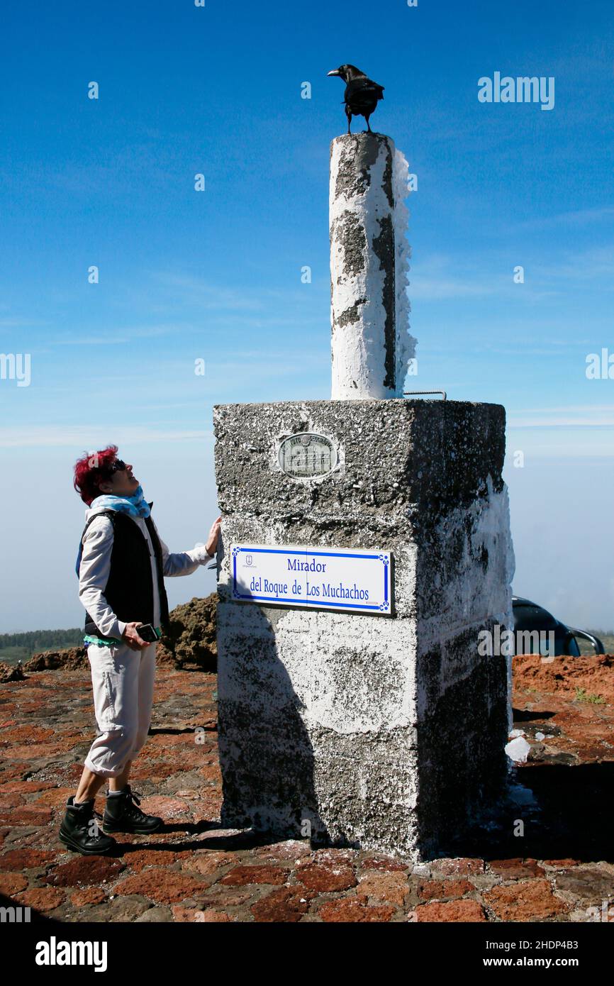 observation point, roque de los muchachos, observation points Stock ...