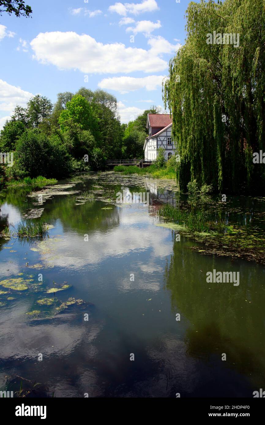 Wipper hi-res stock photography and images - Alamy