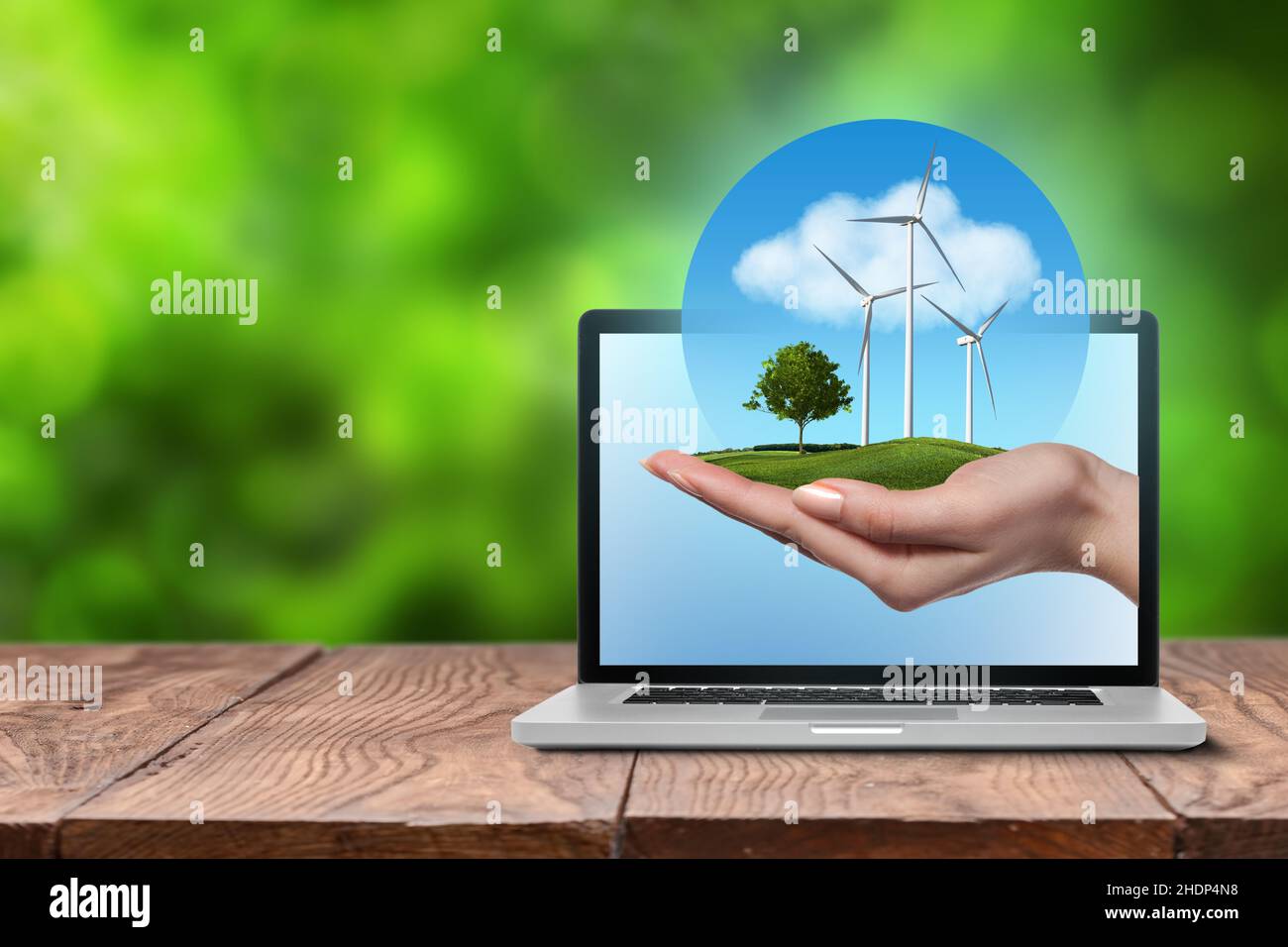 climate, environment protection, green electricity, sustainability ...