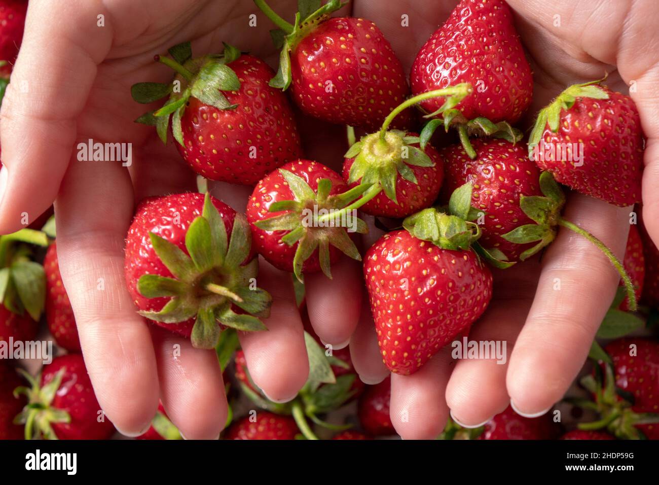Handfuls of berries hi-res stock photography and images - Alamy
