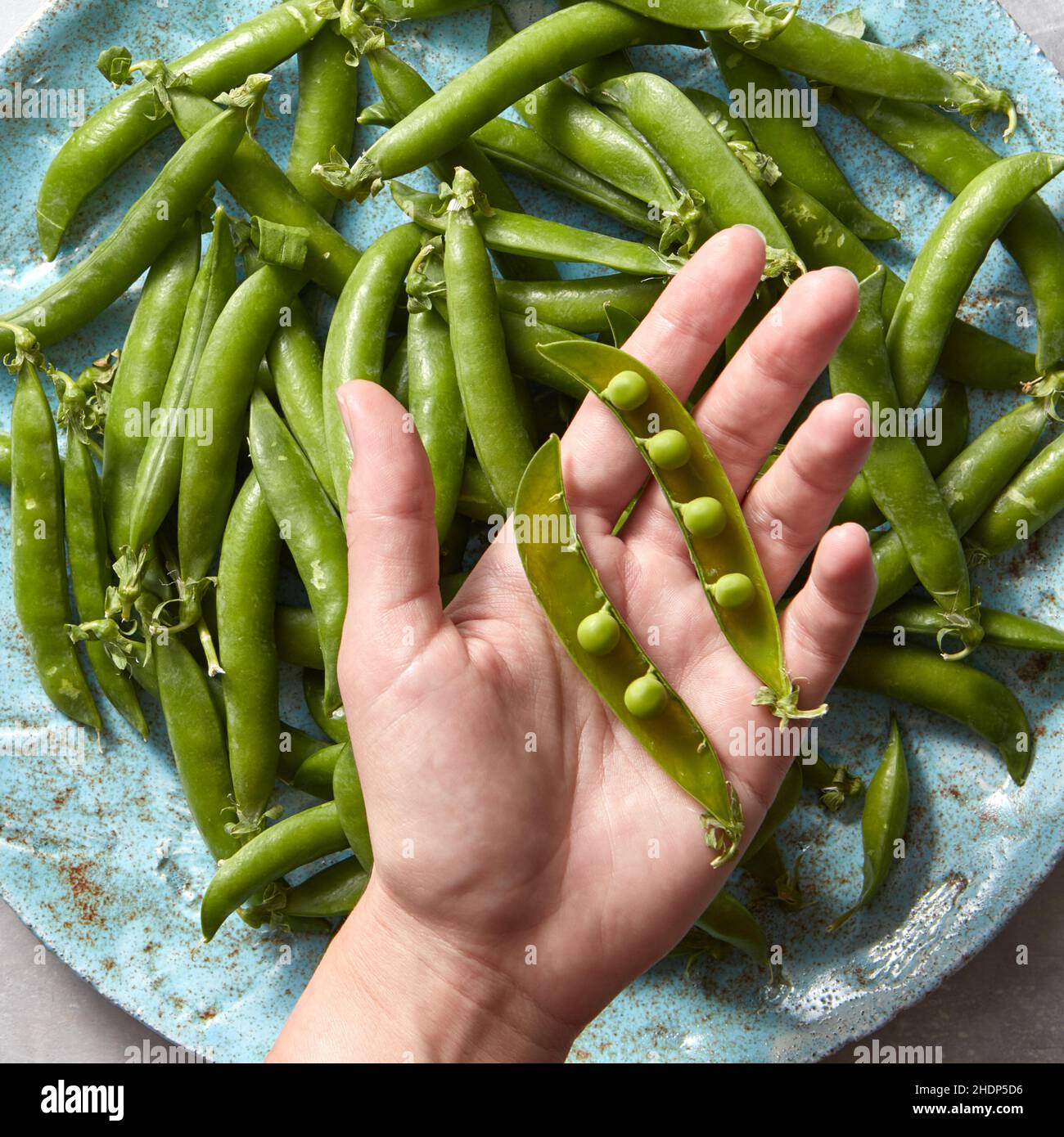 pea pod, pea family, vegetable harvest, pea pods, pea families ...