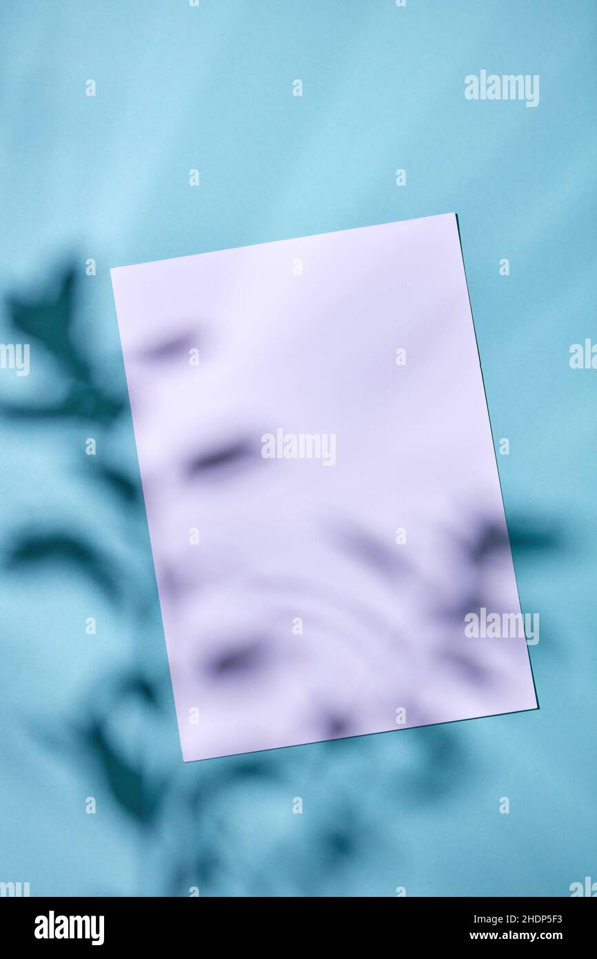 shadow, paper sheet, shadows, papers Stock Photo - Alamy