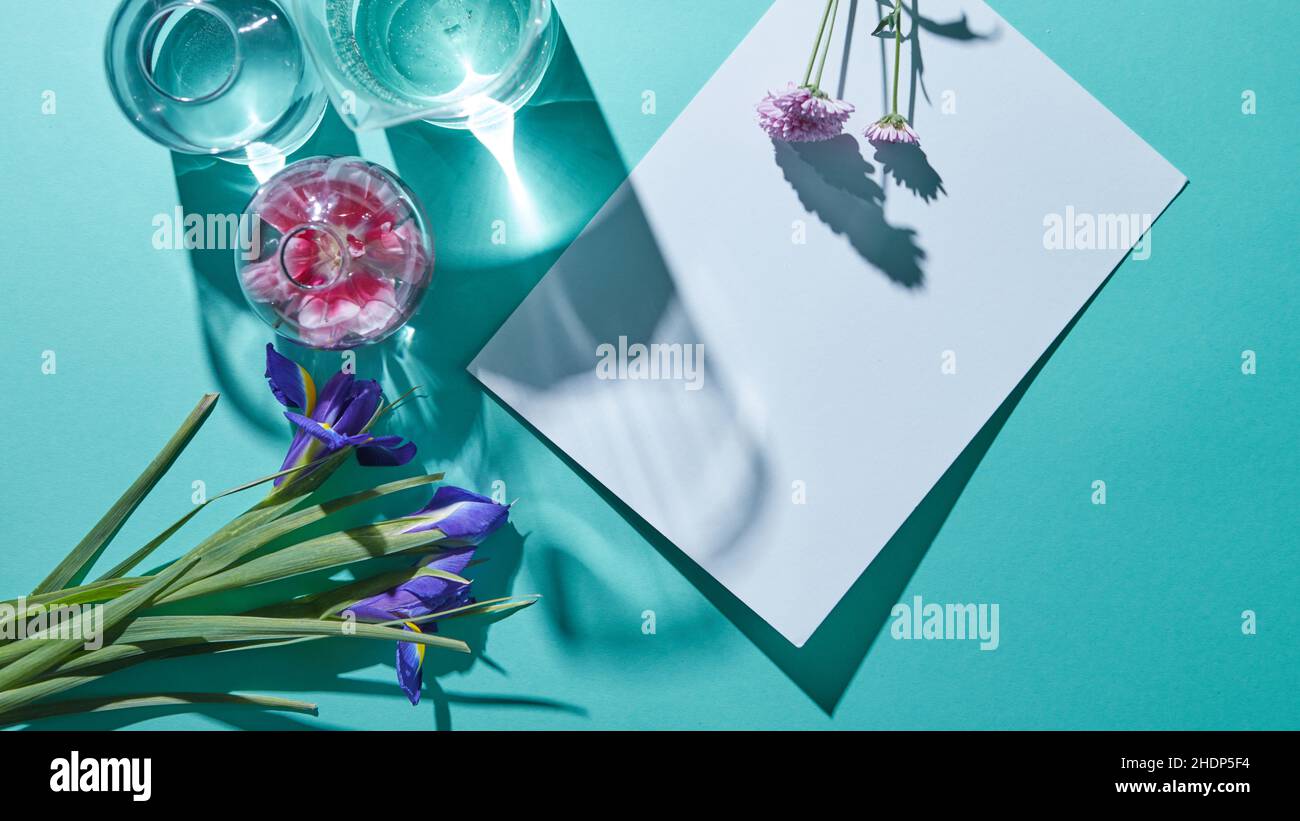 shadow, floral, paper sheet, shadows, florals, papers Stock Photo - Alamy