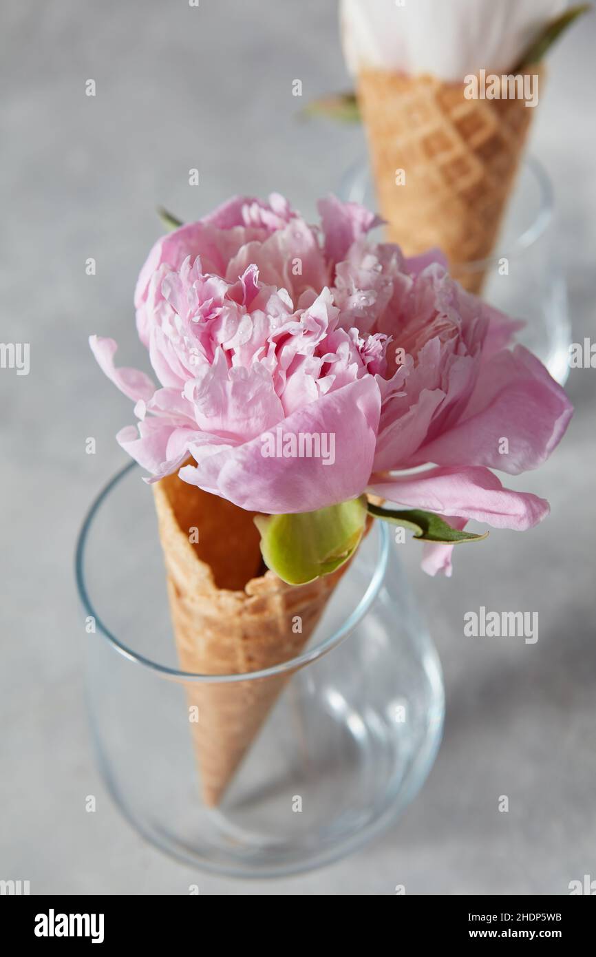 peony, flower arrangement, peonies, flower arrangements Stock Photo - Alamy